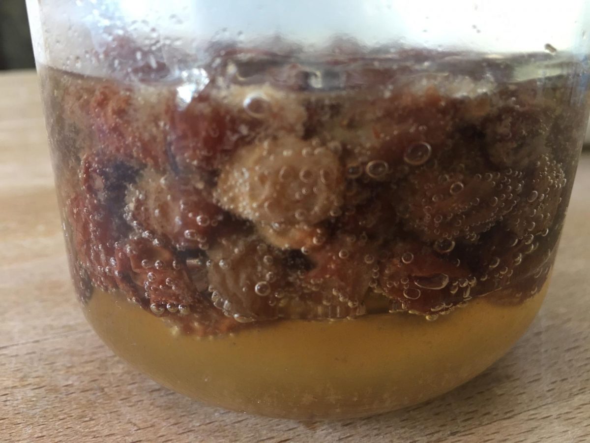 Time to ferment bread with raisin water - Bread classes in Gloucestershire