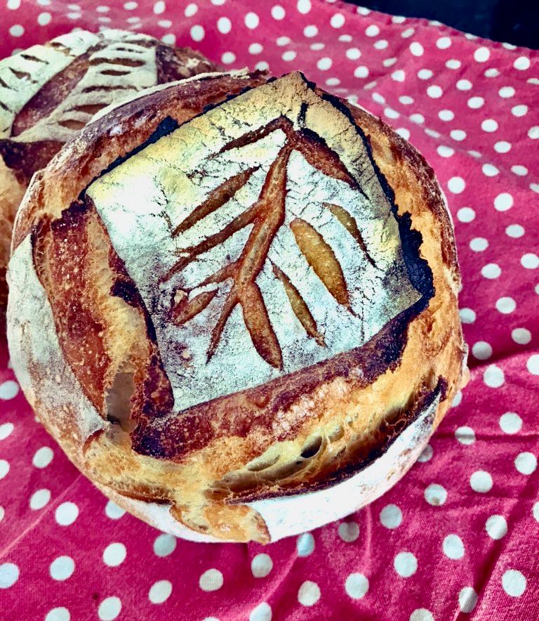 Time to ferment bread with raisin water - Severn Bites
